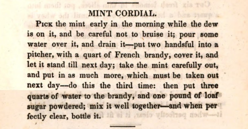 Mint Cordial – History in the Making